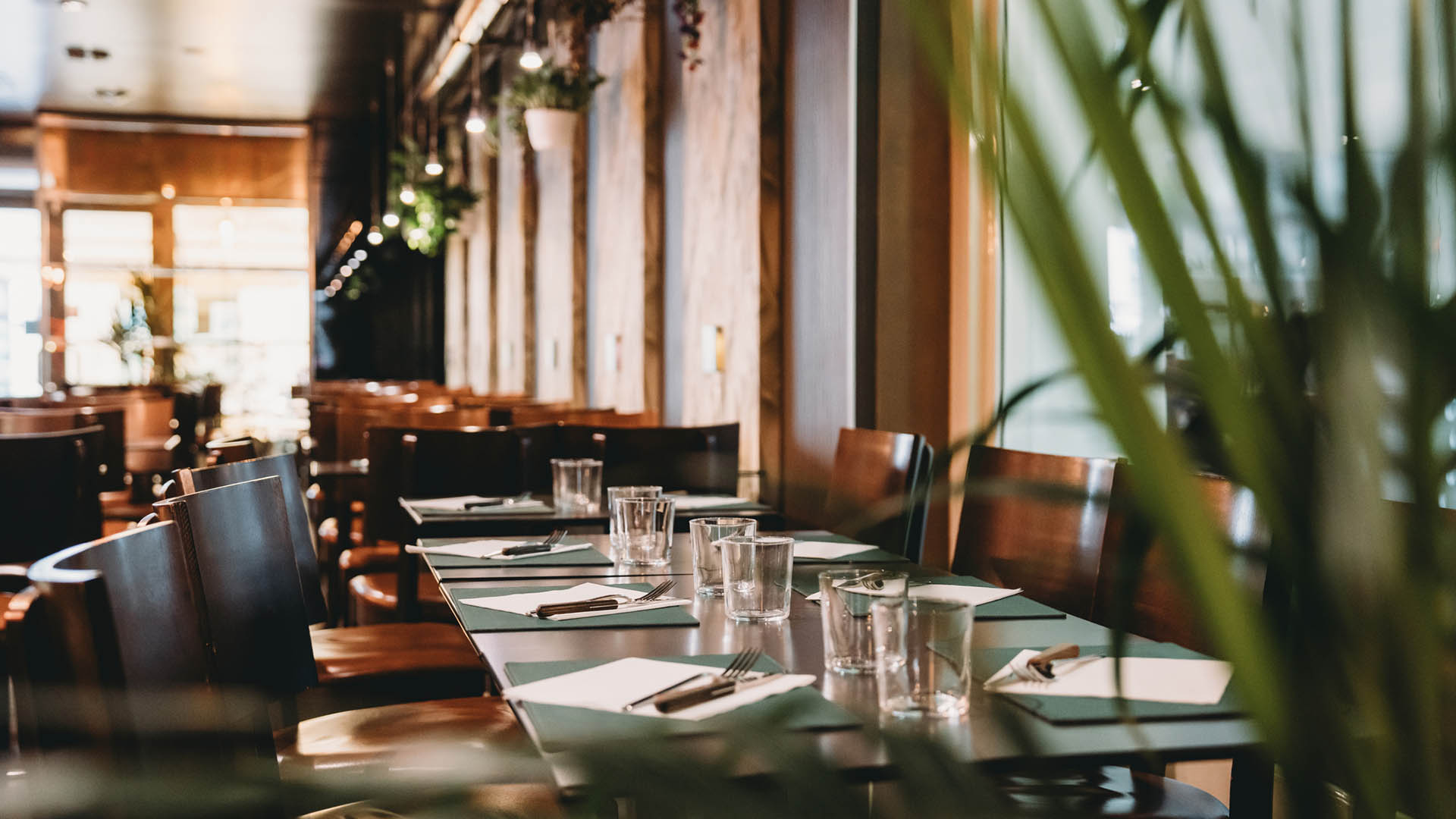 Greenville Restaurant Injury Lawyer | Slip and Falls, Liquor Liability ...